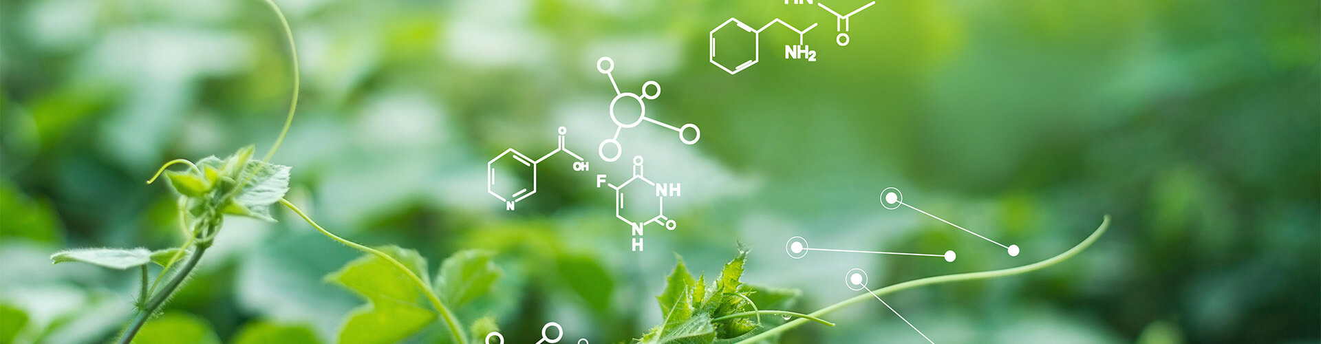 NSTC’s Sustainable Chemistry Strategy Team Releases Sustainable ...